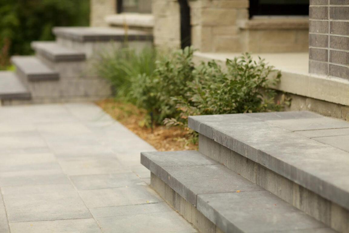 Modern Landscaping - Front Entrance & Backyard