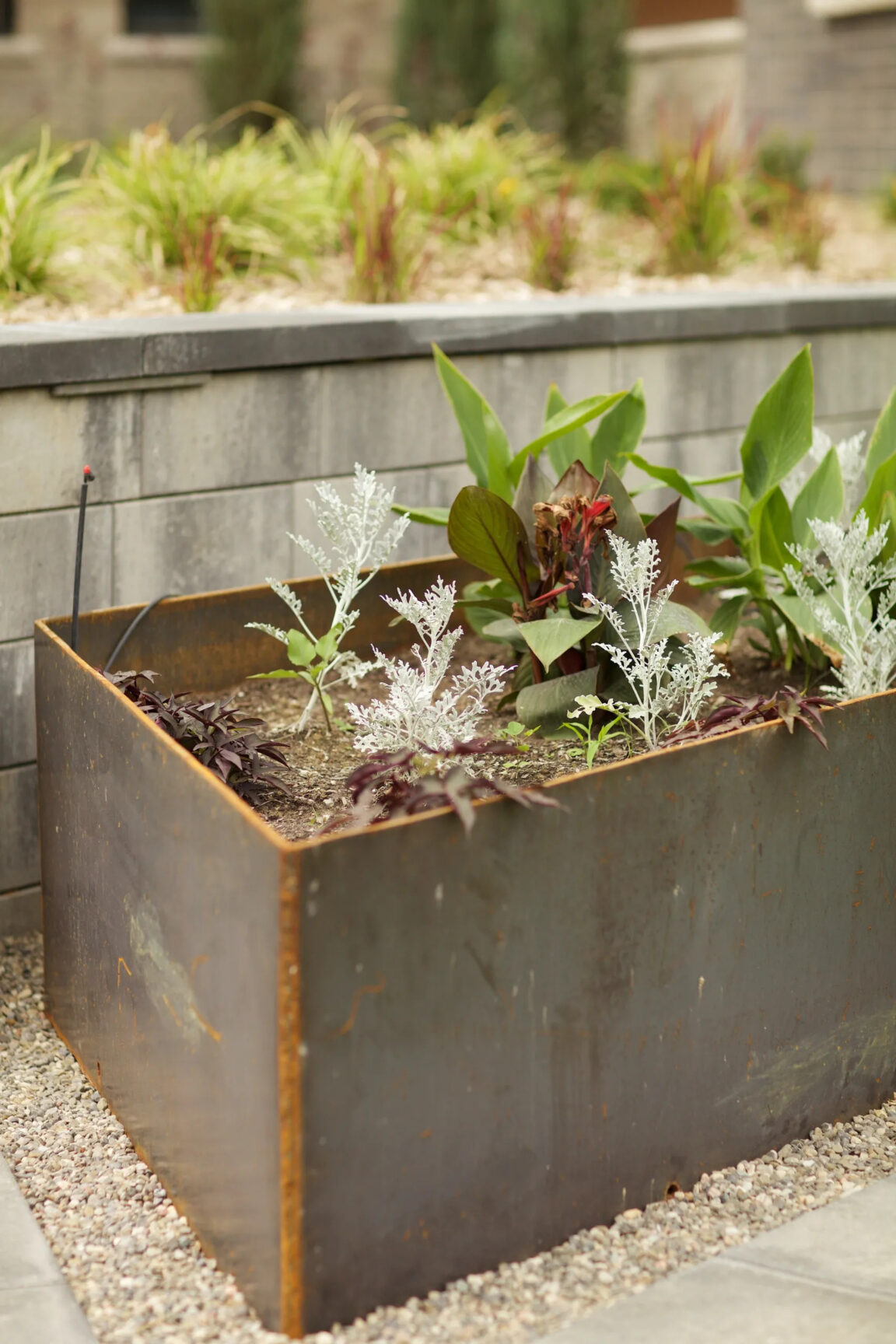 Modern Landscaping - Front Entrance & Backyard