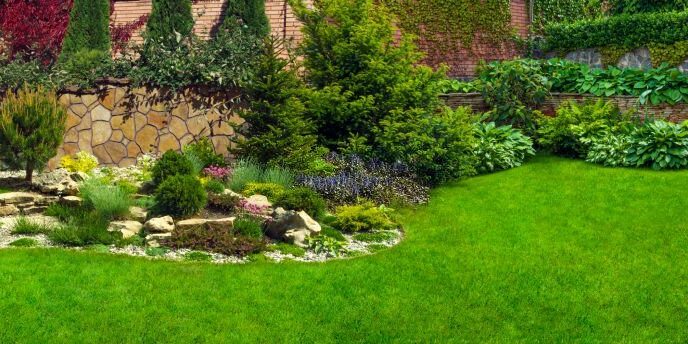 How to Do Backyard Landscaping for Climate Change